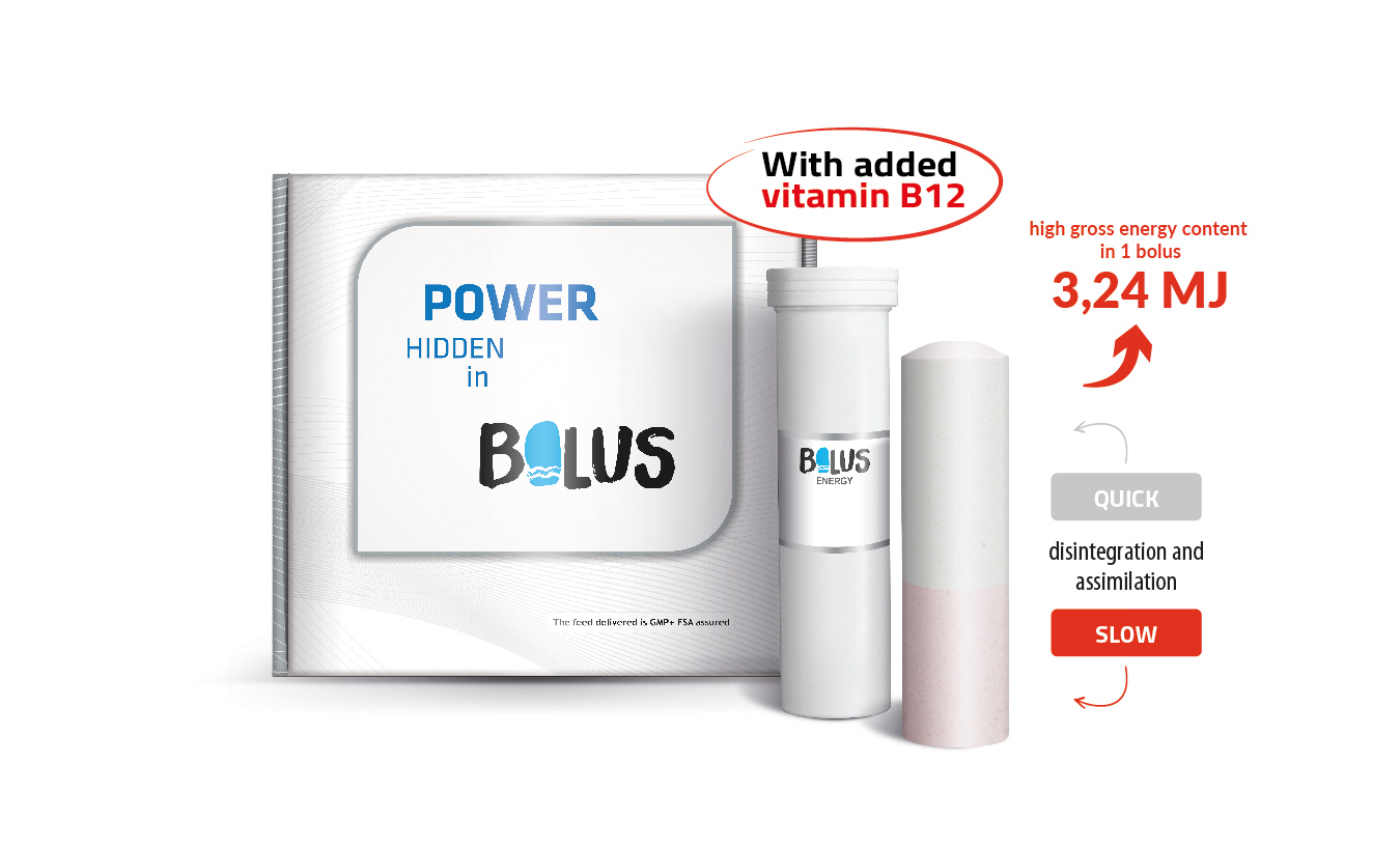 ENERGY BOOSTER BOLUS – reducing the risk of ketosis - JFARM